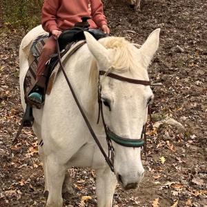 45 Minute Trail Ride | Juckas Stables in New York