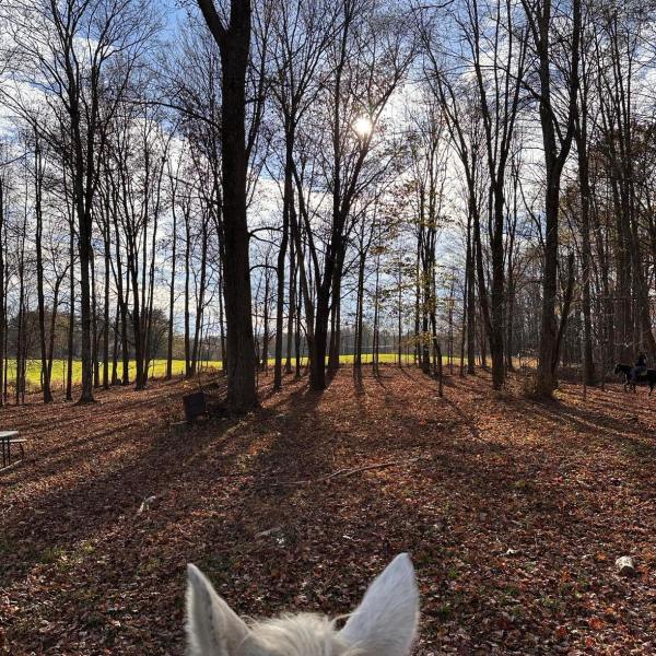 45 Minute Trail Ride | Juckas Stables in New York