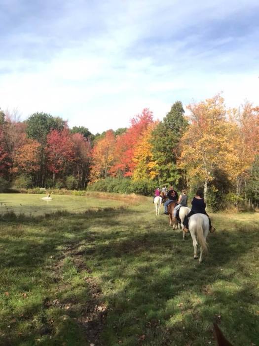 Employment | Juckas Riding Stables