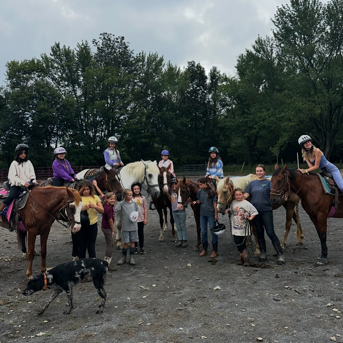 Kid's Summer Camp | Juckas Riding Stables
