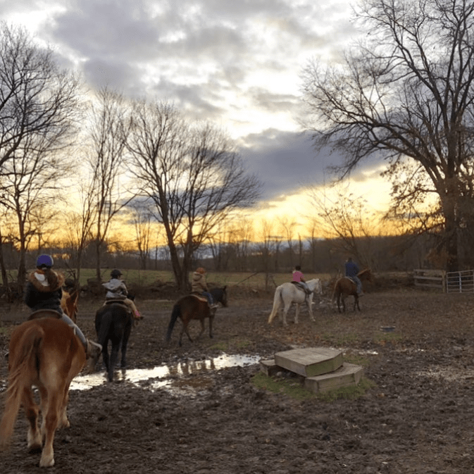 Petting Zoo | Juckas Riding Stables