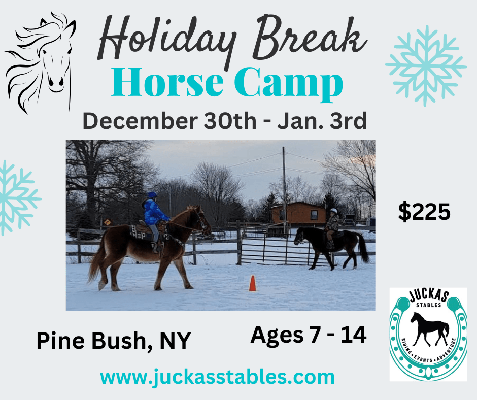 Winter Camp | Juckas Riding Stables